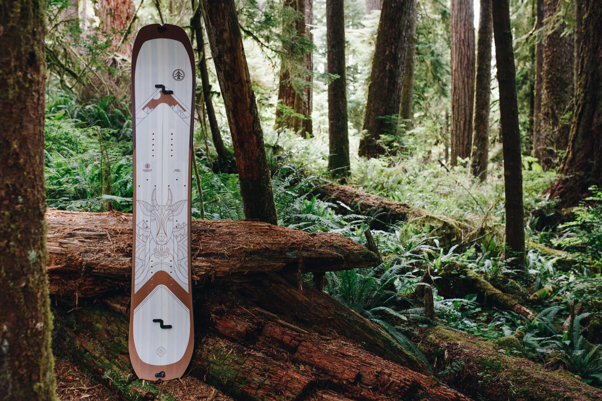 Goat Enduro Splitboard